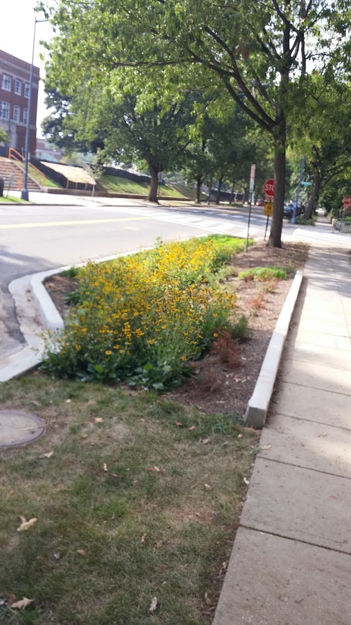 Green Infrastructure Toolkit Scaling Up Integrating Green Infrastructure Into Existing